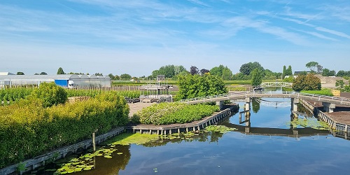 Home | De Groene Wereld